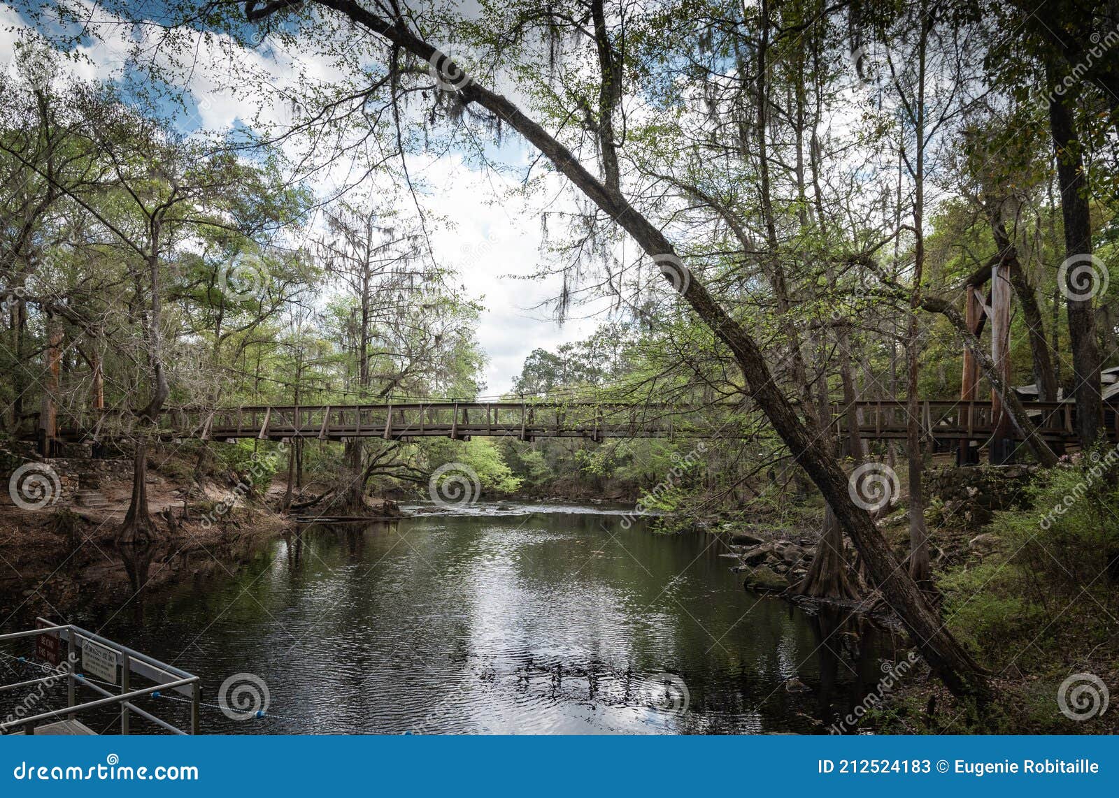 Beautiful Nature Park editorial stock photo. Image of pond - 212524183