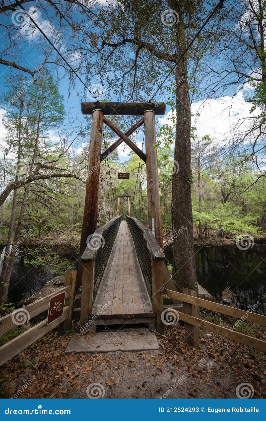 Beautiful Nature Park editorial stock photo. Image of real - 212524293