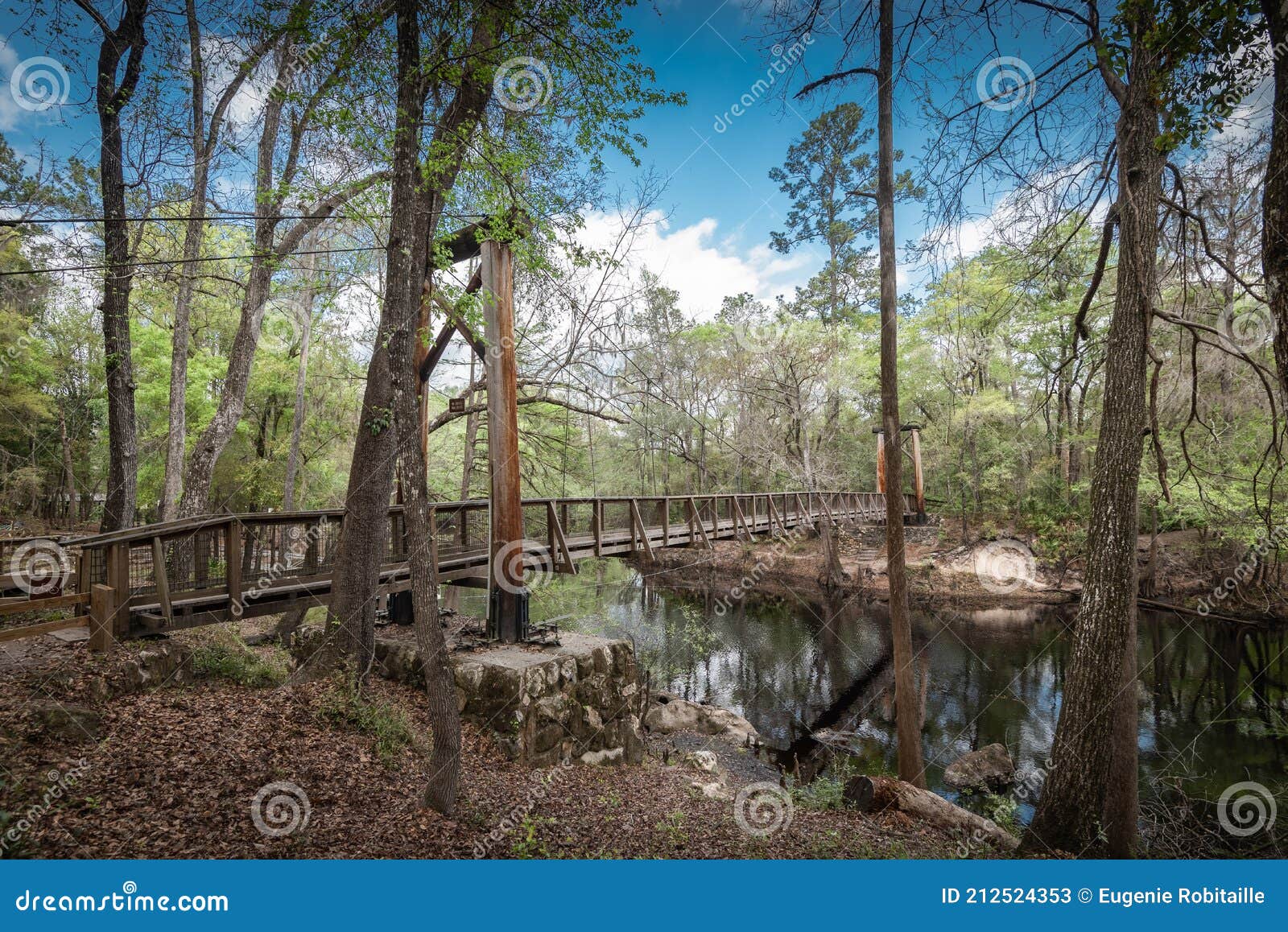 Beautiful Nature Park editorial stock photo. Image of real - 212524353