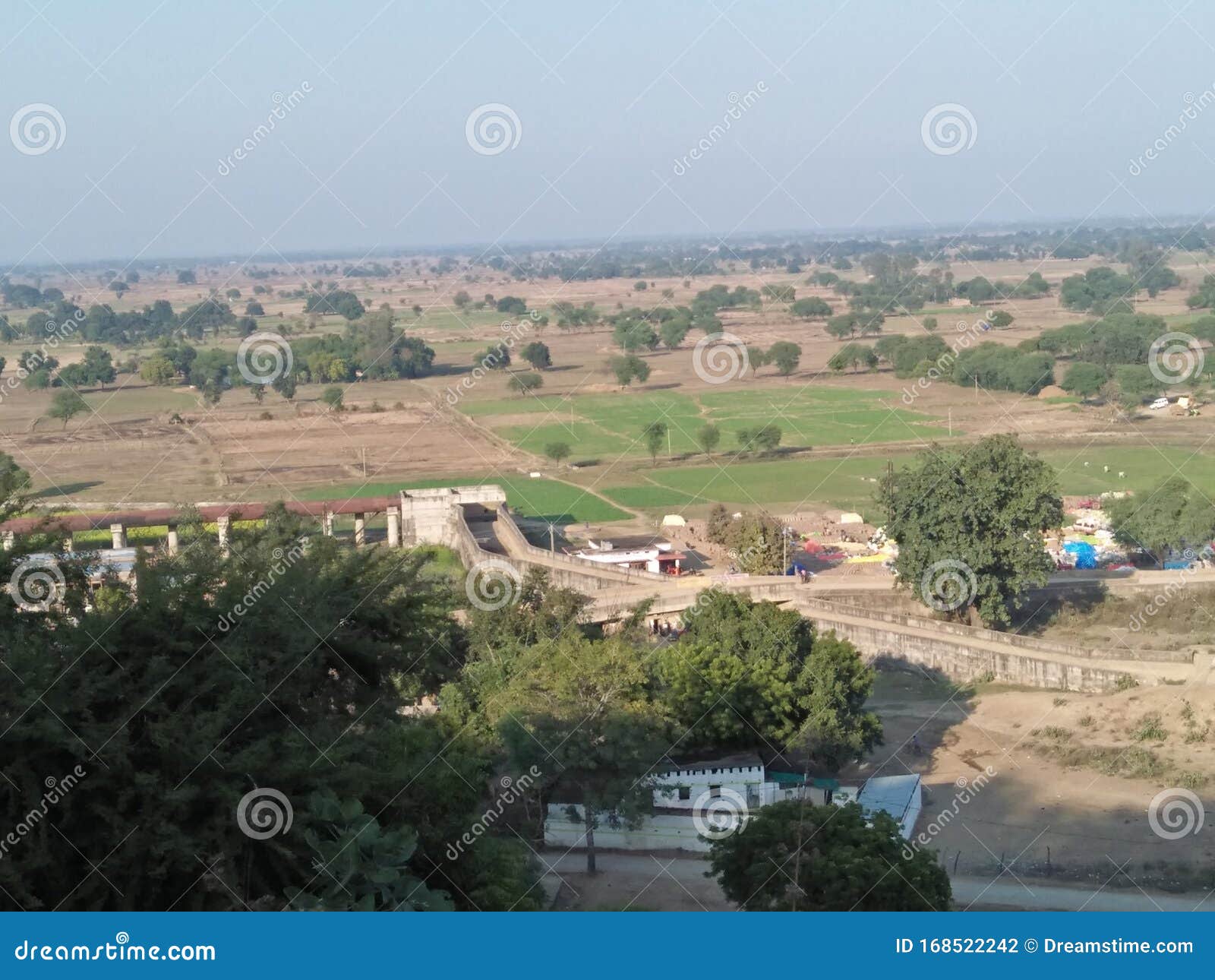 Beautiful nature pick stock photo. Image of parfect - 168522242