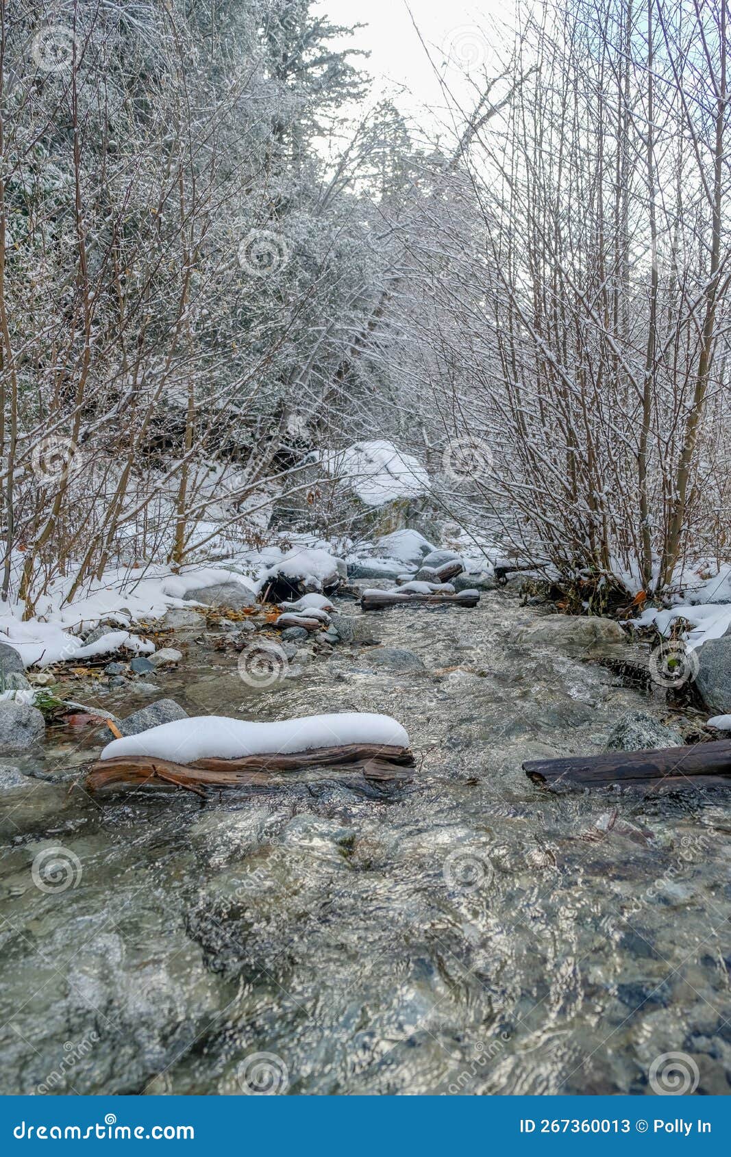 Beautiful Nature of River during Winter and Snow Stock Image - Image of ...