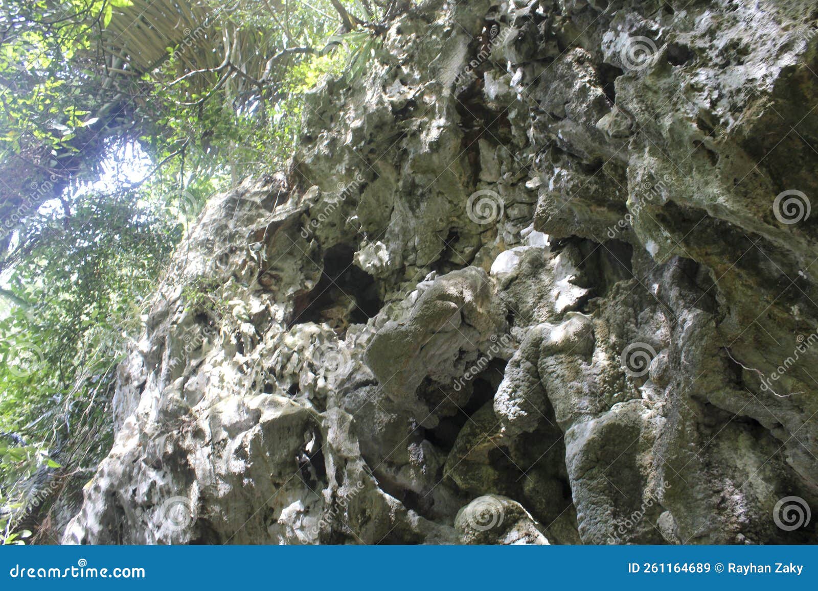 Beautiful Nature Rocks Cliff in Tropical Jungle Stock Image - Image of ...