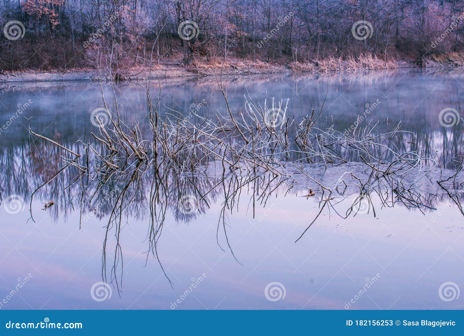 Beautiful nature scenes stock image. Image of ecological - 182156253