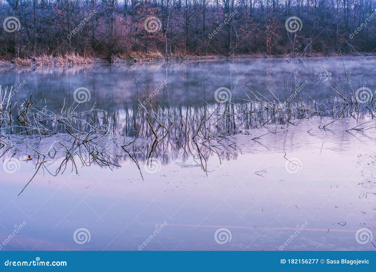 Beautiful nature scenes stock image. Image of park, trees - 182156277