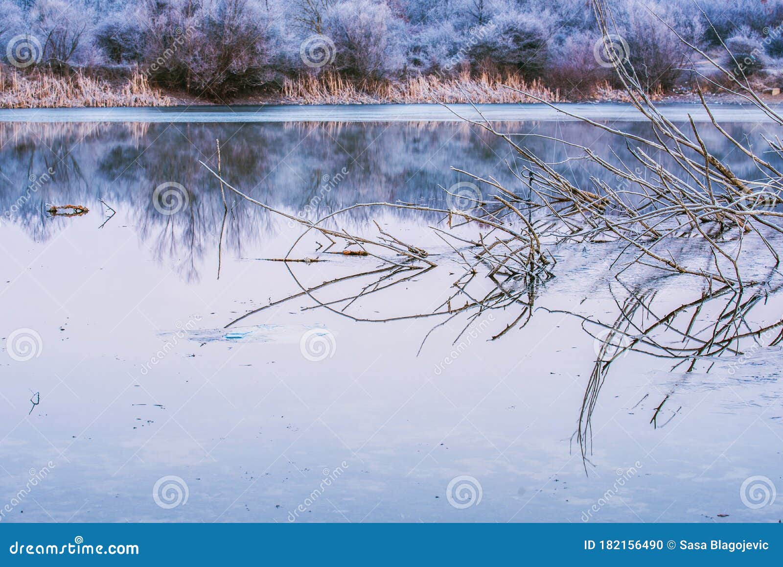 Beautiful nature scenes stock photo. Image of ecosystem - 182156490