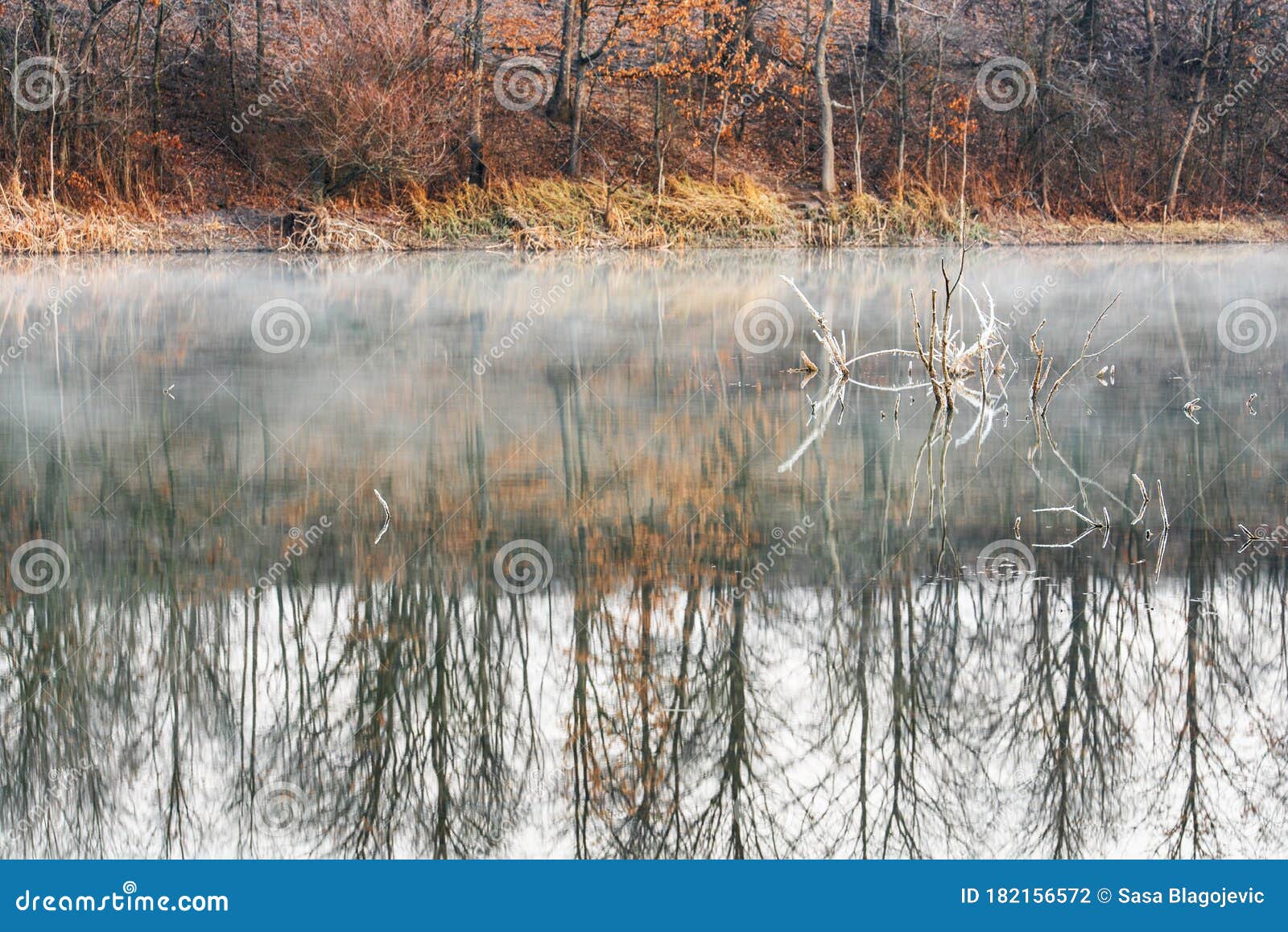 Beautiful nature scenes stock photo. Image of december - 182156572