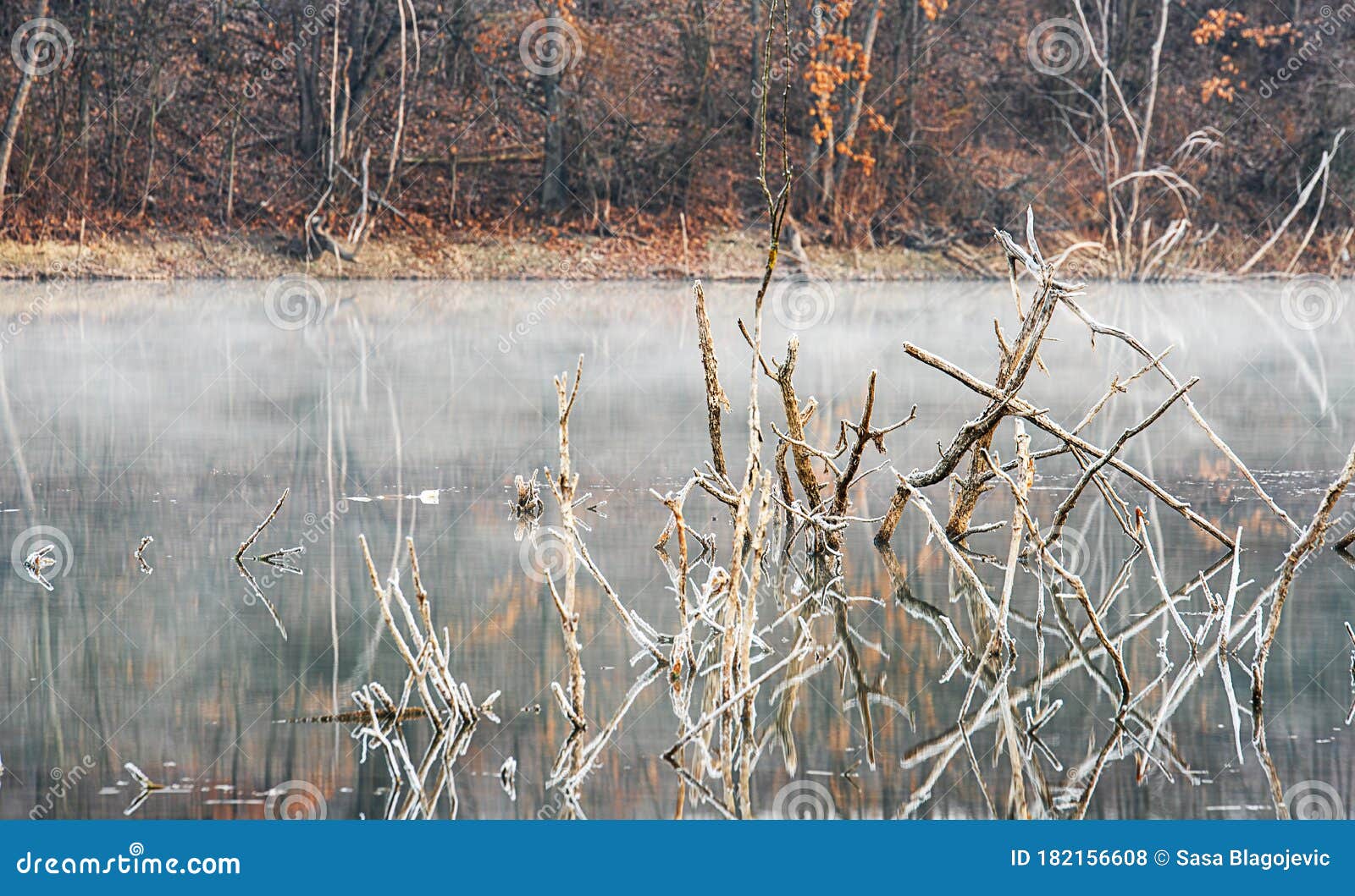 Beautiful nature scenes stock photo. Image of swamp - 182156608