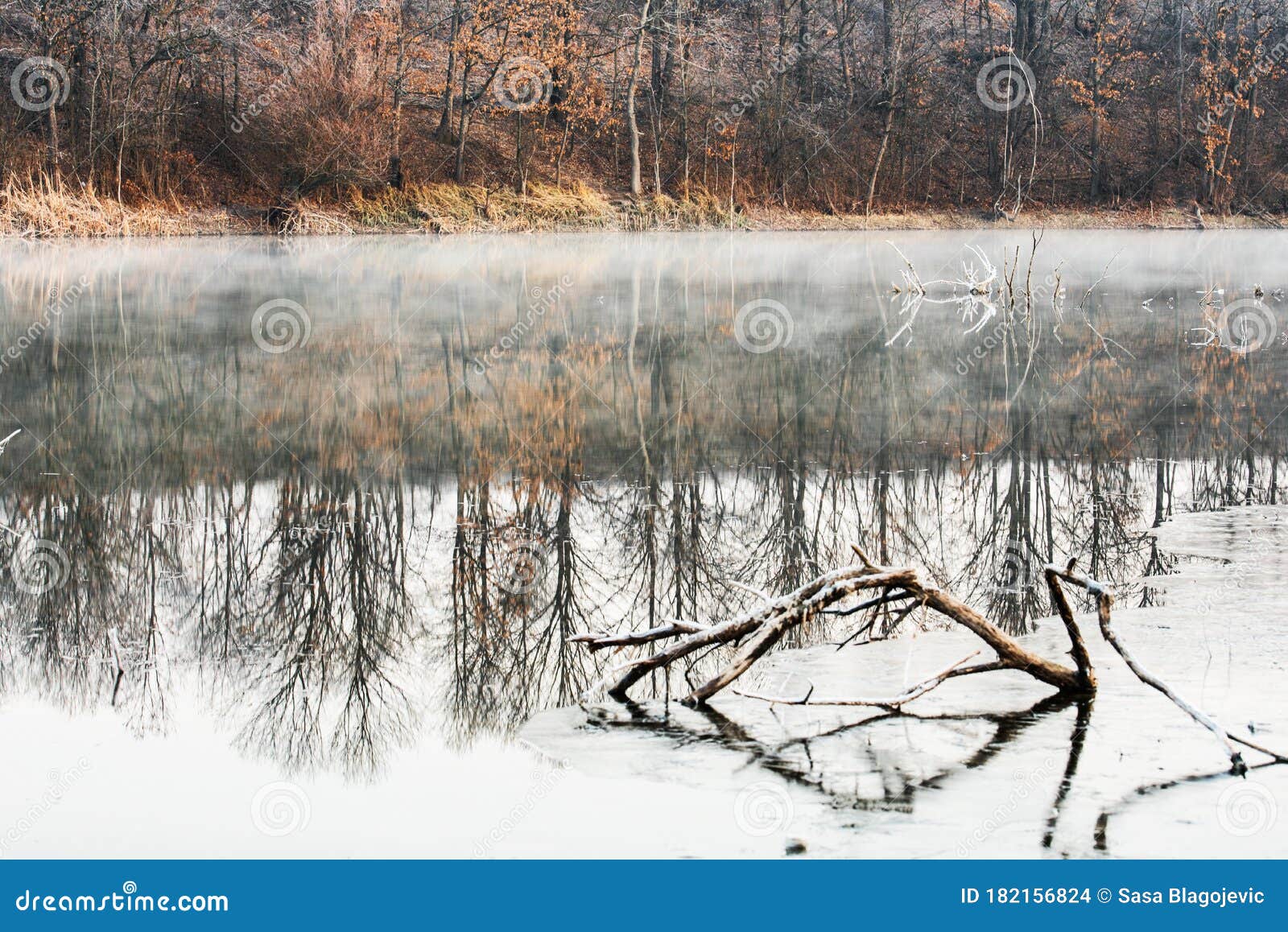 Beautiful nature scenes stock photo. Image of reflection - 182156824
