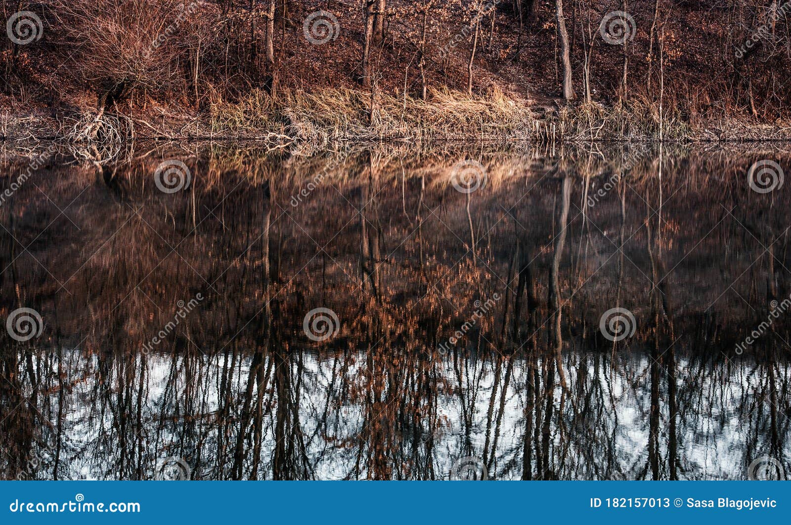 Beautiful nature scenes stock image. Image of january - 182157013