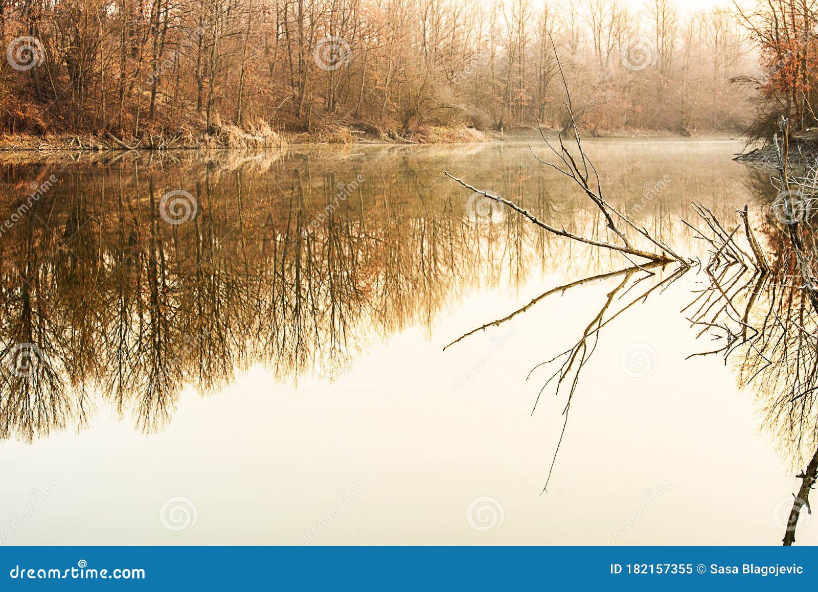 Beautiful nature scenes stock image. Image of outdoor - 182157355