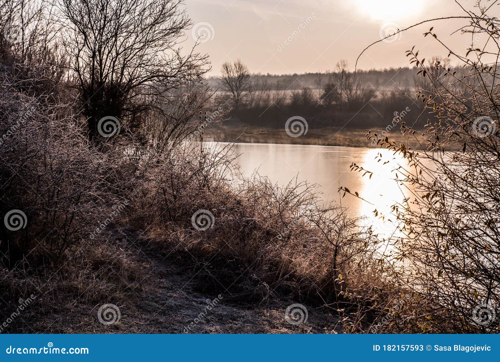 Beautiful nature scenes stock image. Image of tree, ecology - 182157593