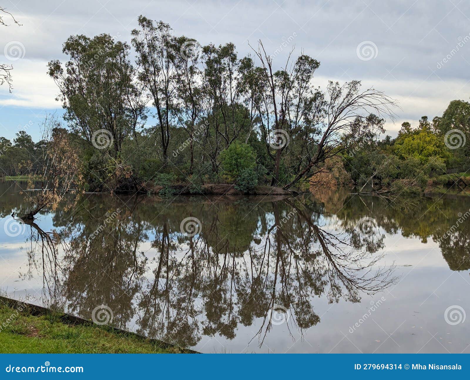 Beautiful Nature Shadows on River. Nice View in the World . Stock Photo ...