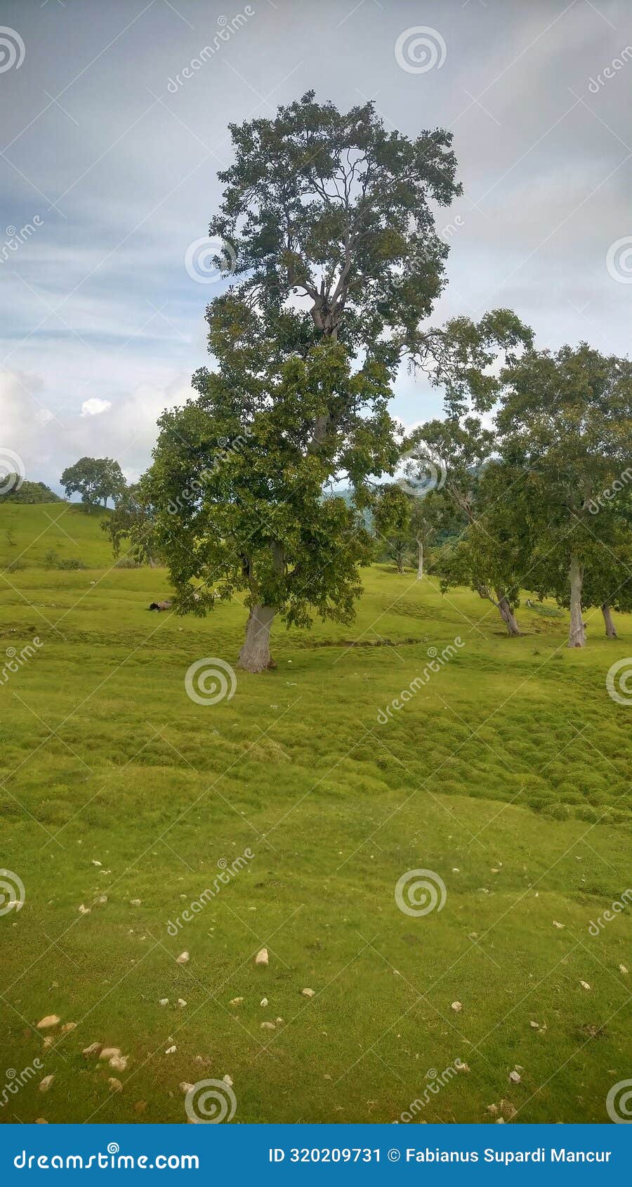 Beautiful Nature is the Sign of GOD& X27;s Love Stock Image - Image of ...