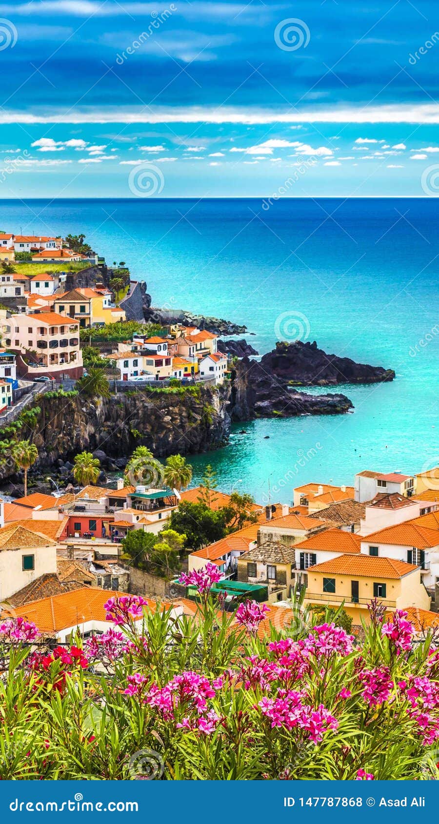 Beautiful nature stock photo. Image of view, beautiful - 147787868