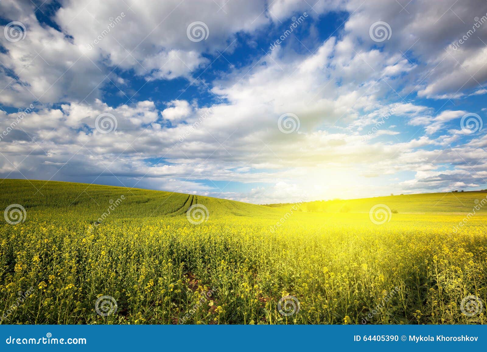 Beautiful Nature Sunny Landscape Stock Photo - Image of rolling, grass ...