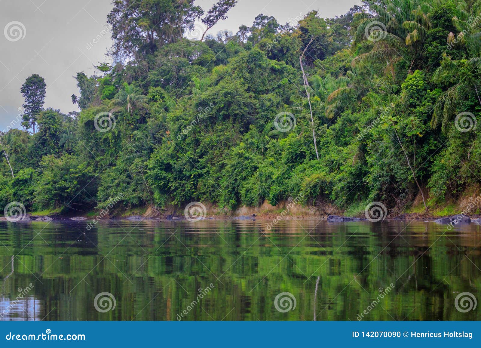 The Beautiful Nature of Surinam Stock Photo - Image of water, lagoon ...