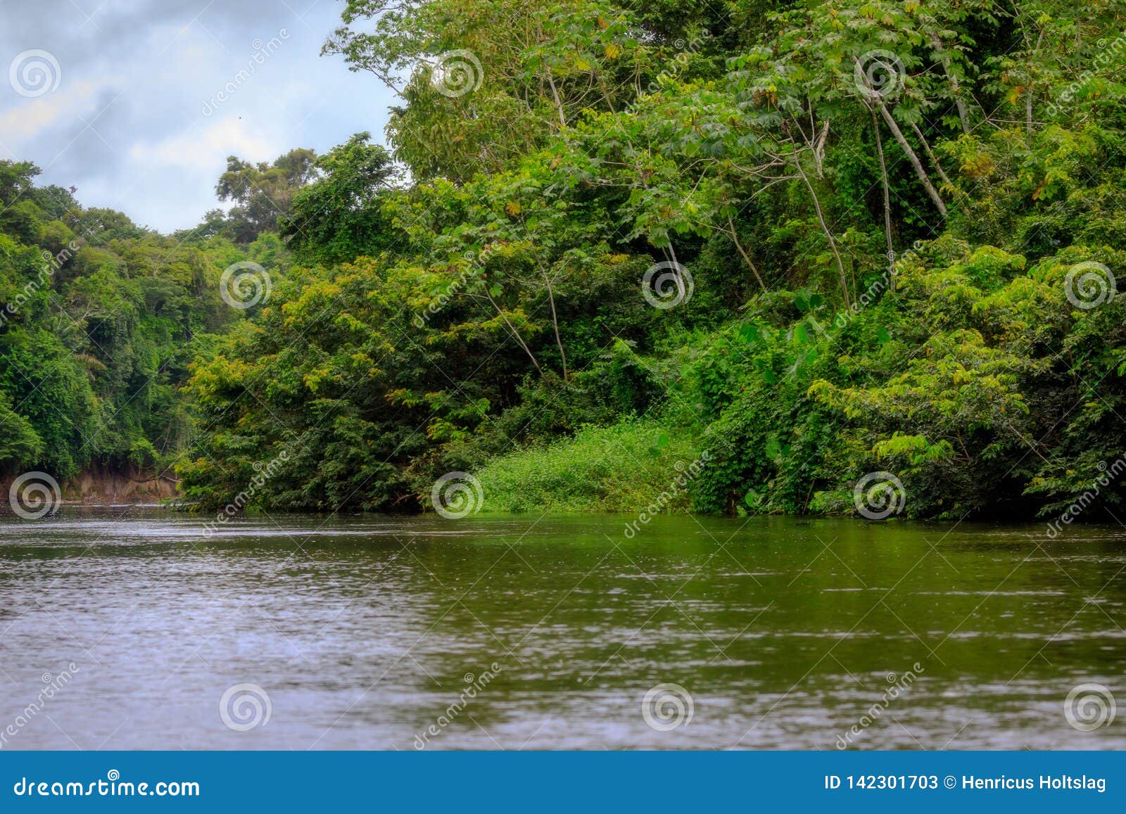 The Beautiful Nature of Surinam Stock Image - Image of blue, jungle ...