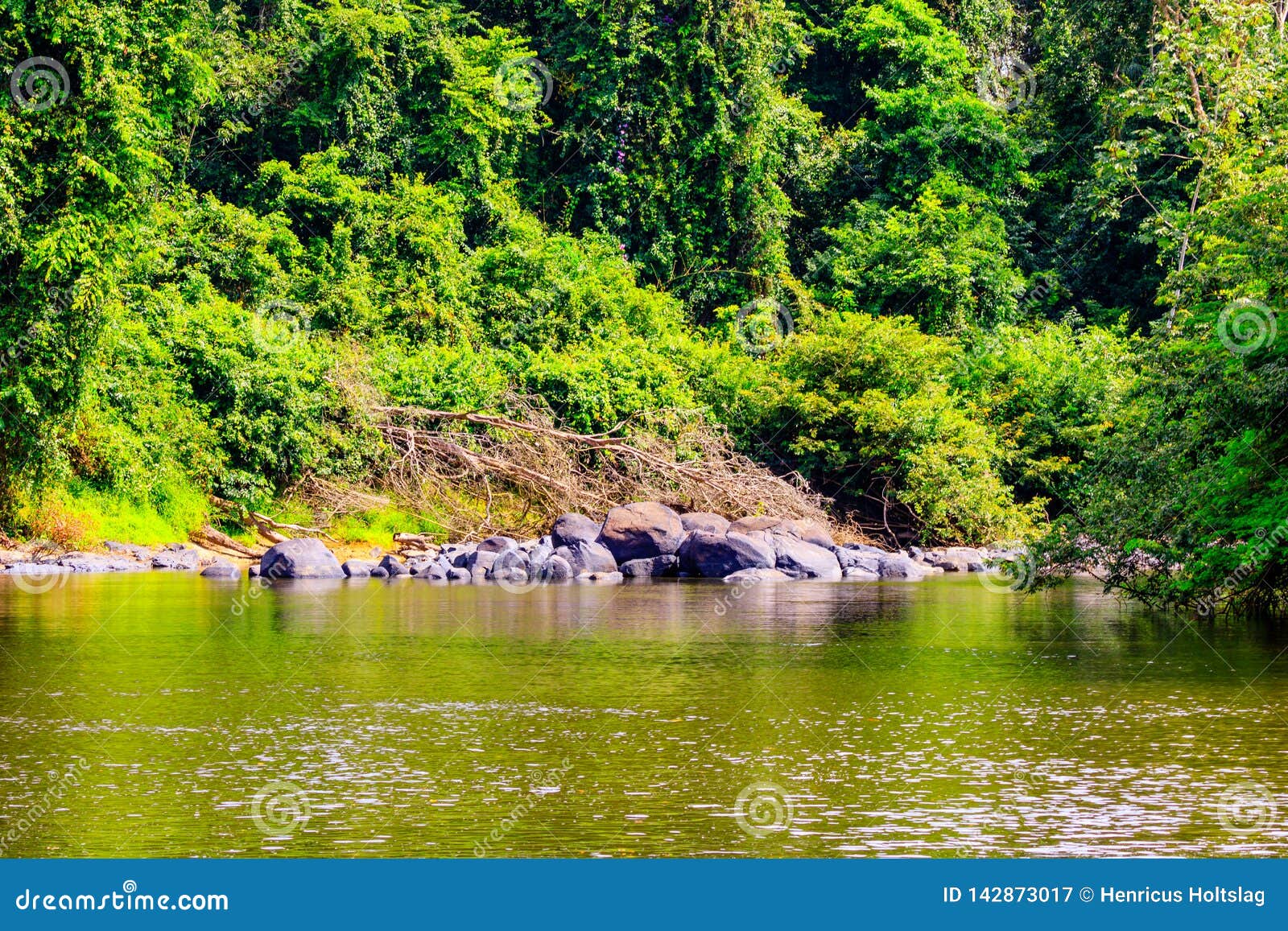 The Beautiful Nature of Surinam Stock Image - Image of surinam, tourism ...