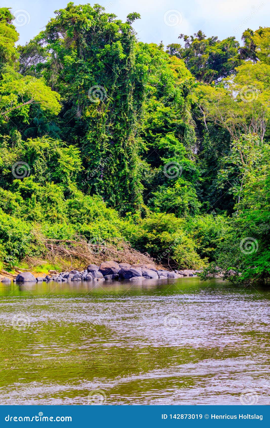 The Beautiful Nature of Surinam Stock Image - Image of amazon, river ...