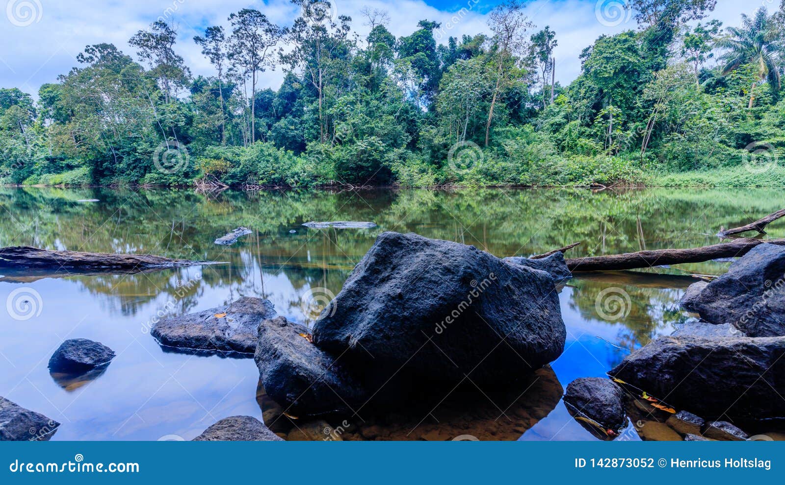 The Beautiful Nature of Surinam Stock Photo - Image of amazon, blue ...
