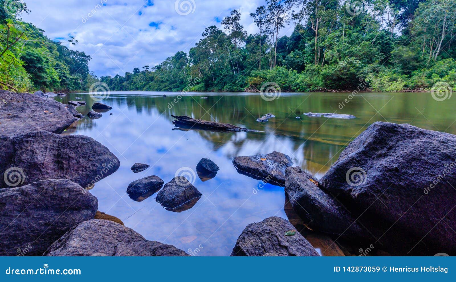 The Beautiful Nature of Surinam Stock Image - Image of amazon, blue ...