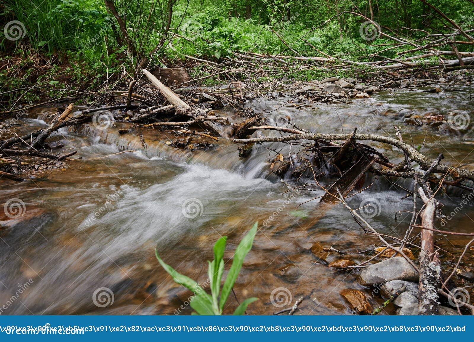Beautiful Nature Waterfall on a Small Lake. Stock Image - Image of ...