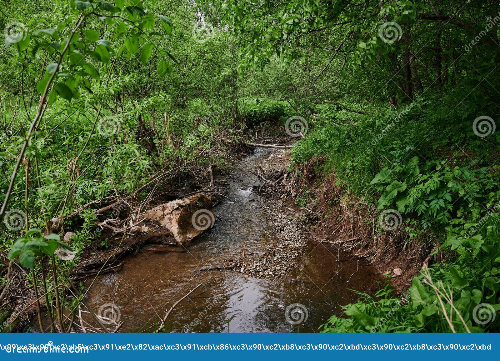 Beautiful Nature Waterfall on a Small Lake. Stock Photo - Image of ...