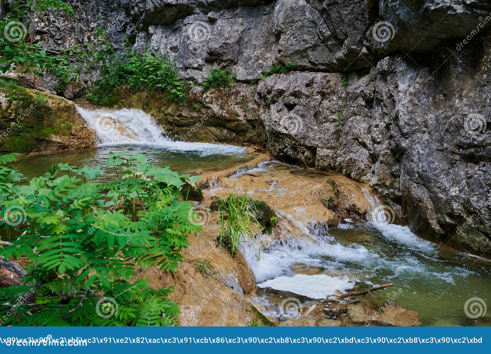 Beautiful Nature Waterfall on a Small Lake. Stock Image - Image of ...