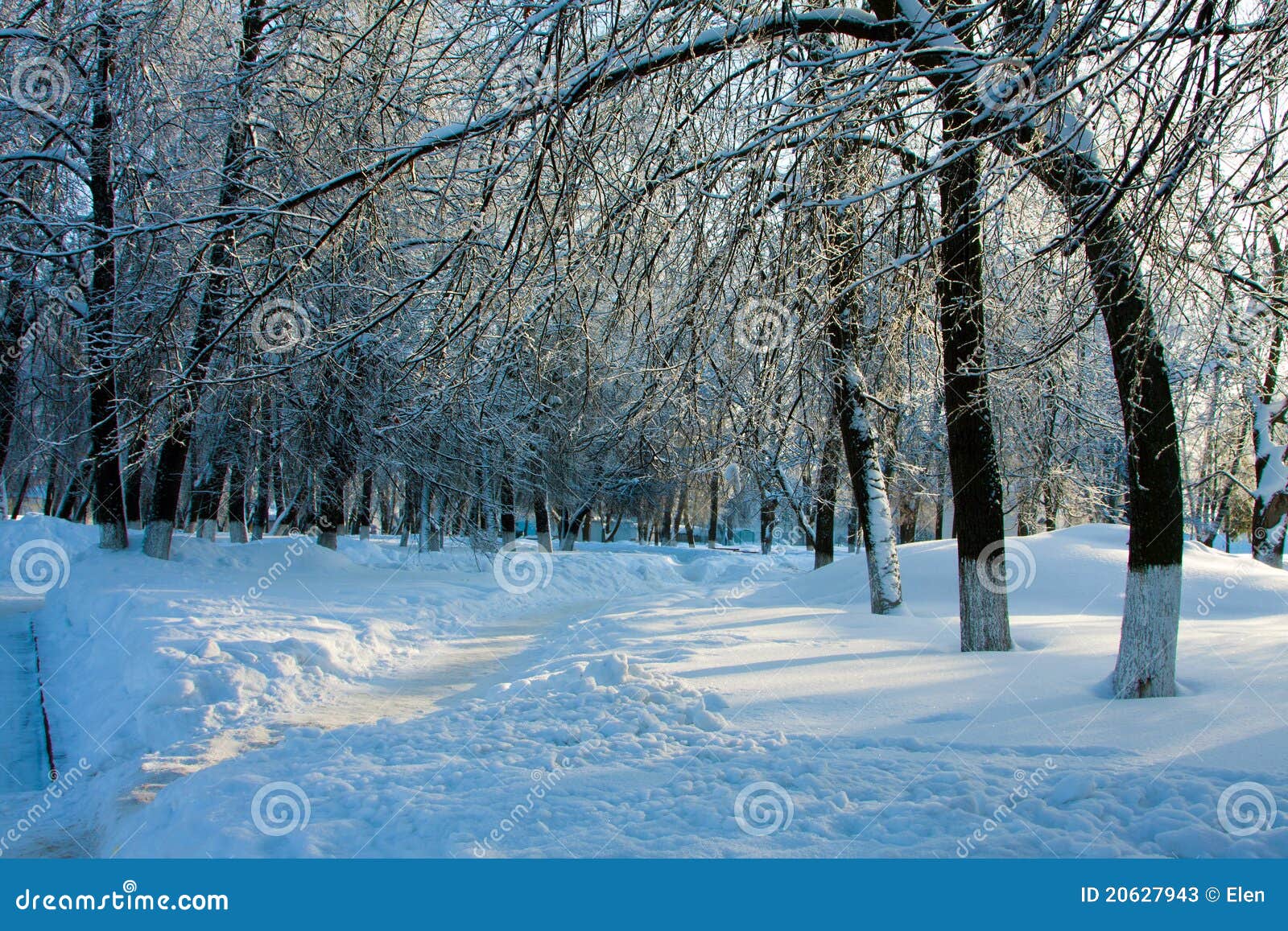 Beautiful Nature, Winter Forest Stock Image - Image of park, snowy ...