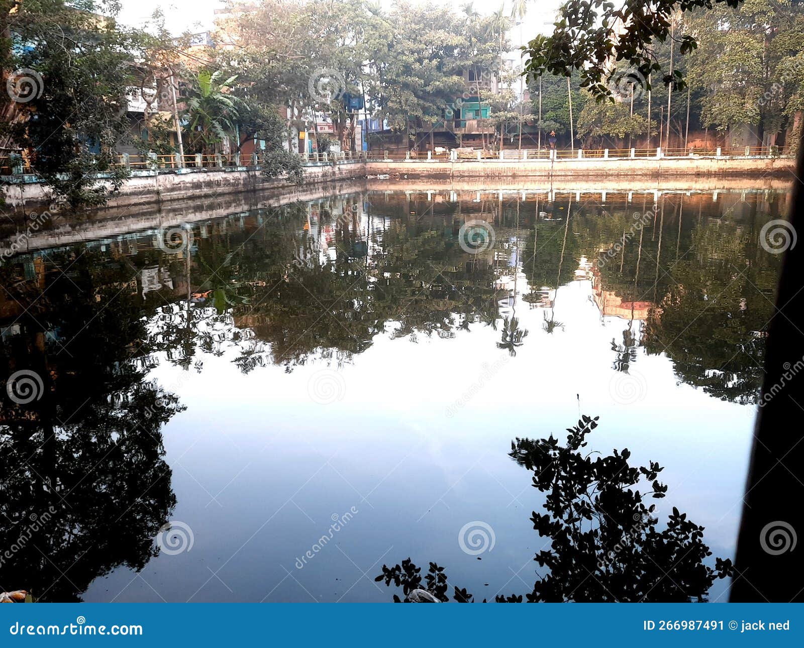 Beautiful necher stock image. Image of beautiful, necherrevers - 266987491