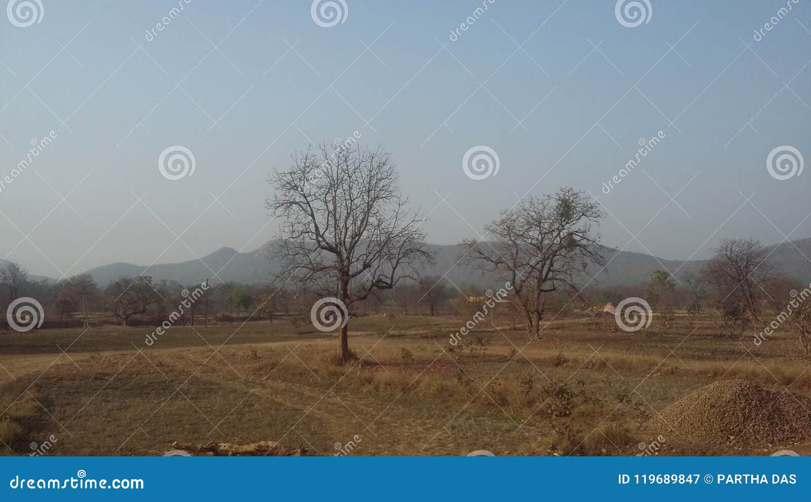 Beautiful Netural Scenery of the India Stock Image - Image of beautiful ...