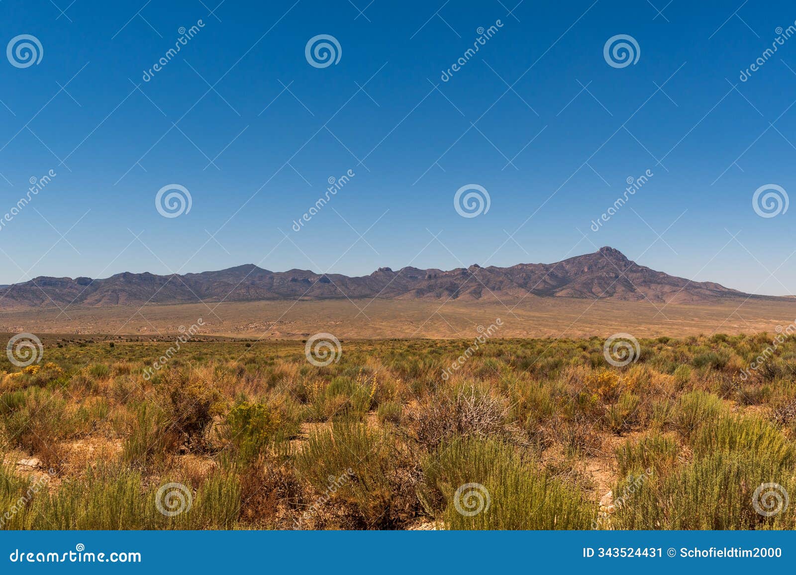 The Sun Shines Over the Beautiful Open Space of Nevada in Summer Stock ...