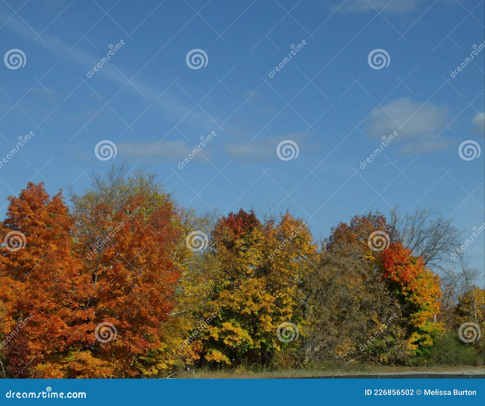 Beautiful New England Fall Landscape Stock Photo - Image of grass, tree ...