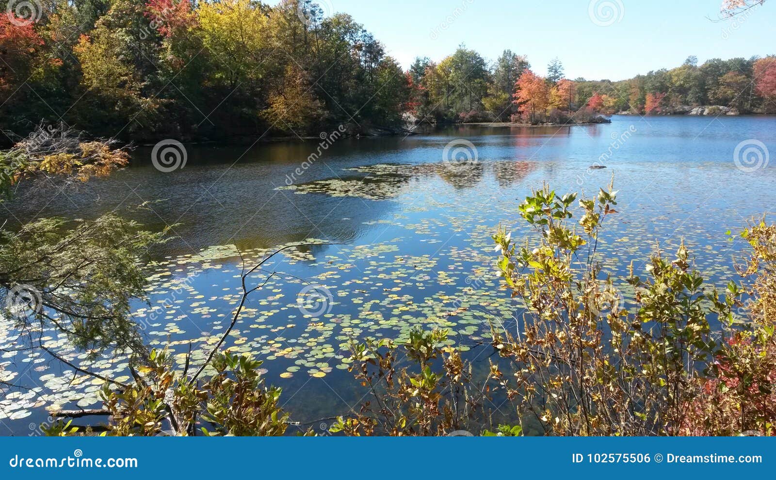 Beautiful New Jersey Fall stock photo. Image of beautiful - 102575506