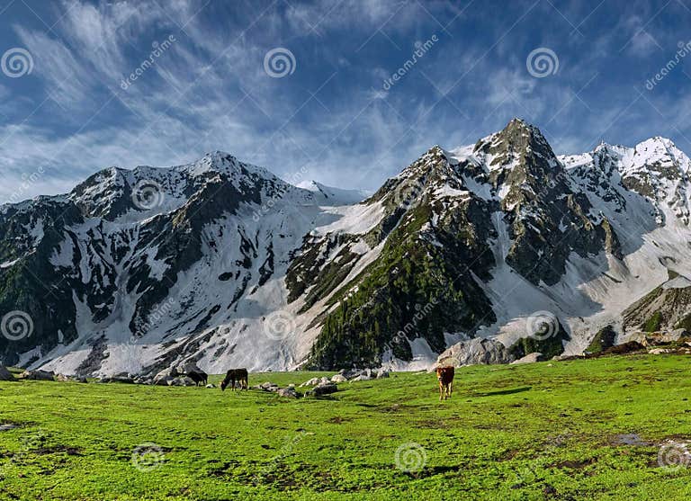 Beautiful Nice Mountain Green Stock Image - Image of meadow, grassland ...