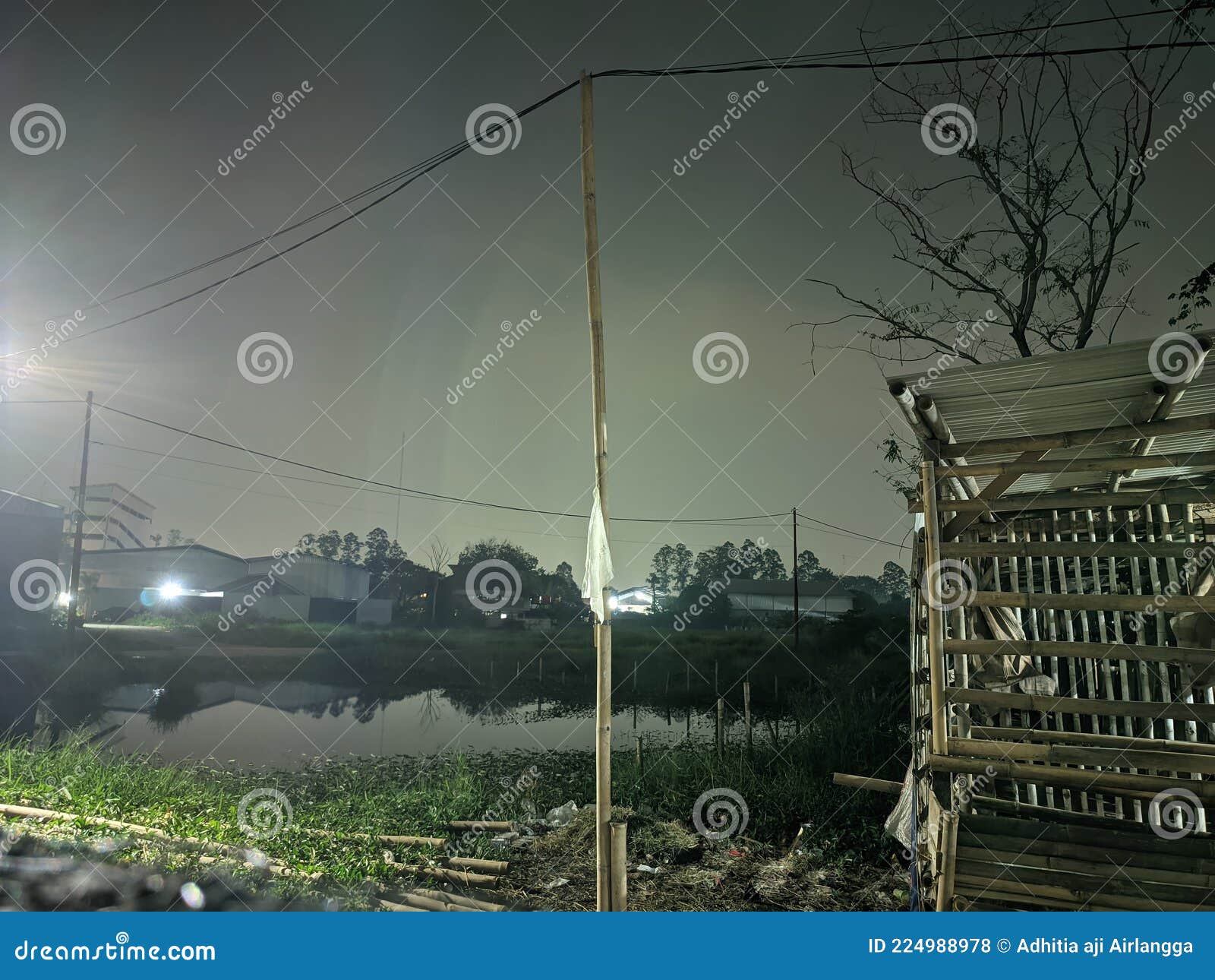 Beautiful Night in the Rice Field Stock Photo - Image of beautiful ...