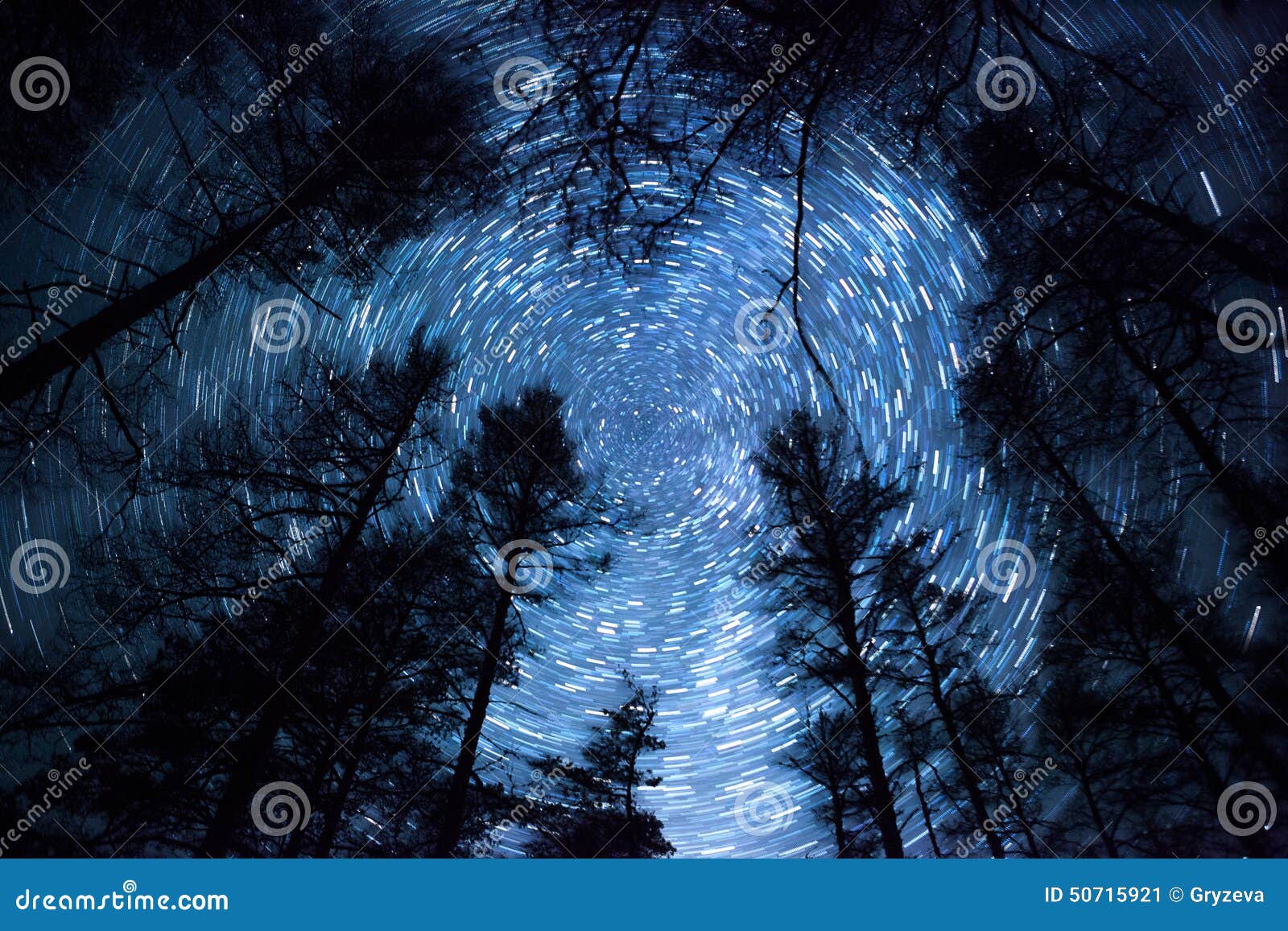 Beautiful Night Sky, Milky Way, Star Trails and the Trees Stock Image ...