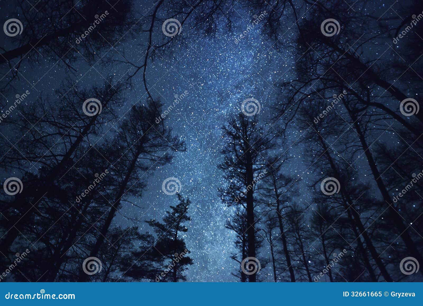 A Beautiful Night Sky, the Milky Way and Trees Stock Image - Image of ...