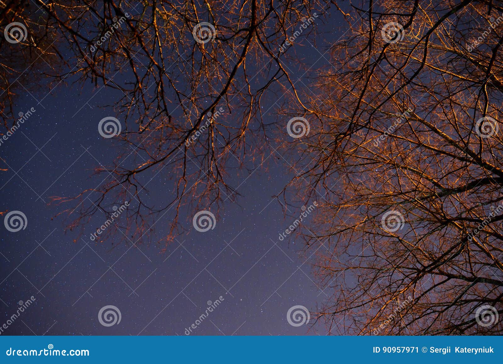Beautiful Night Sky, the Milky Way and the Trees Stock Image - Image of ...
