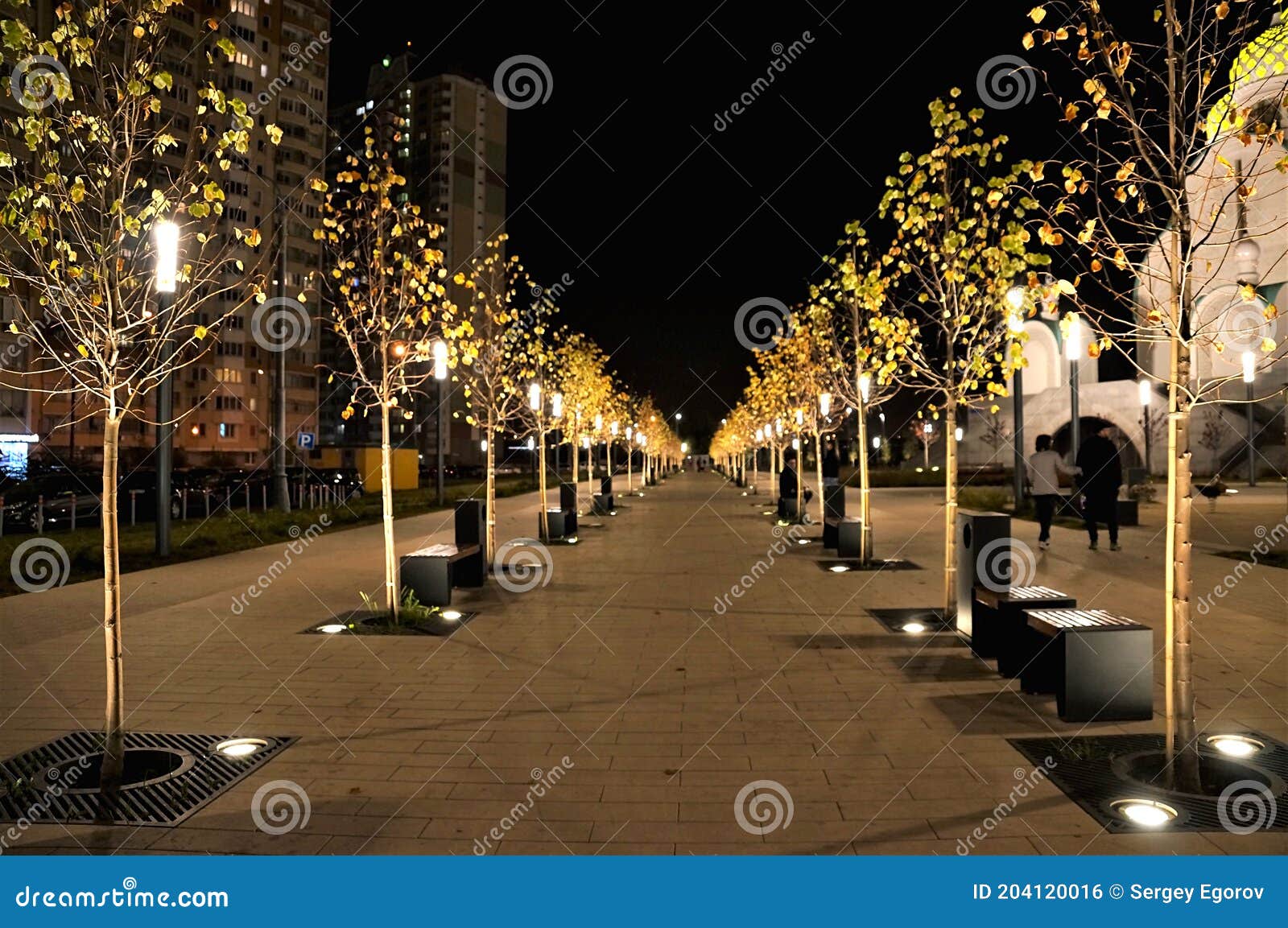 Night perspective stock photo. Image of beautiful, walking - 204120016