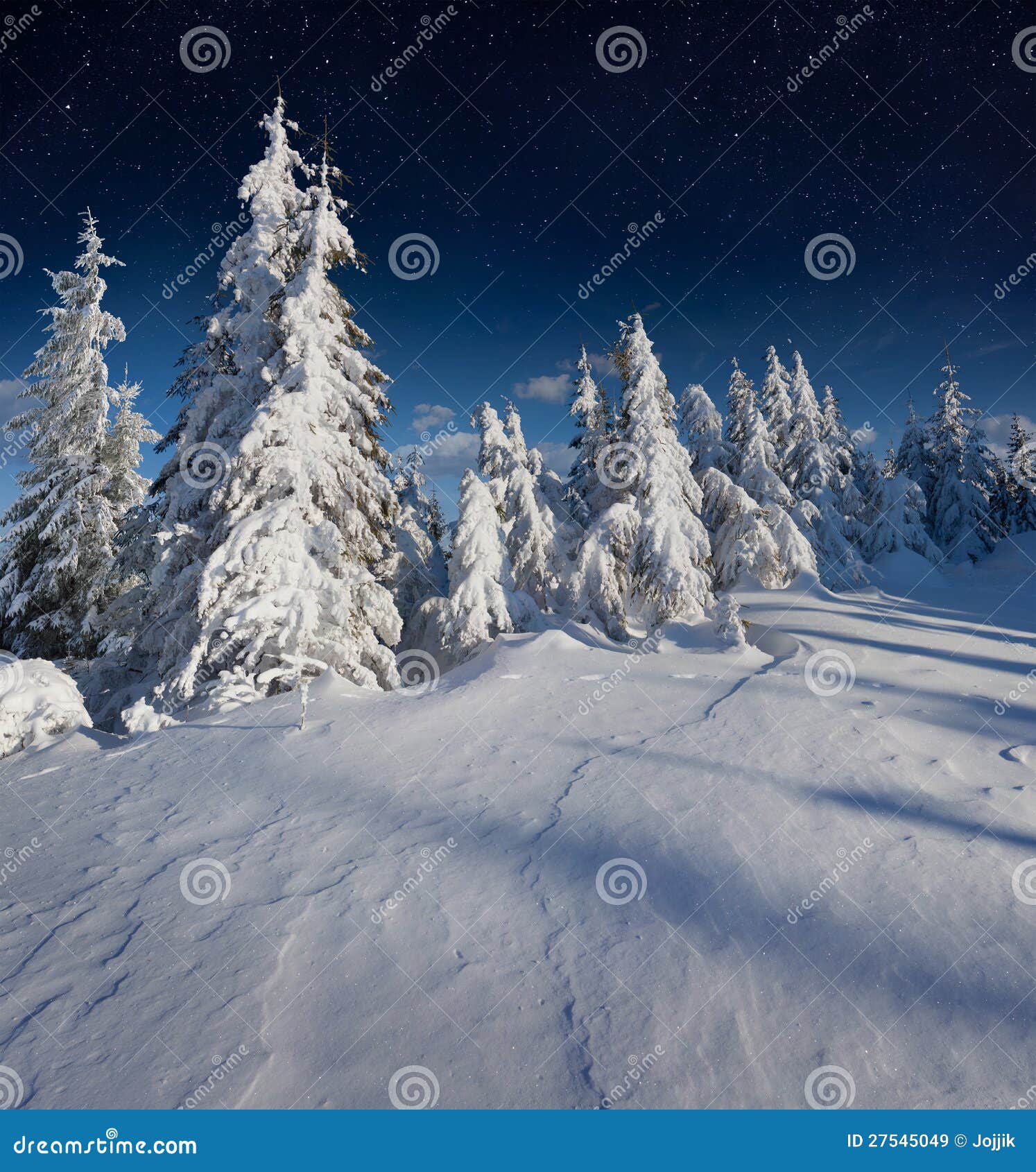 Beautiful Night Winter Landscape Stock Image - Image of beautiful ...