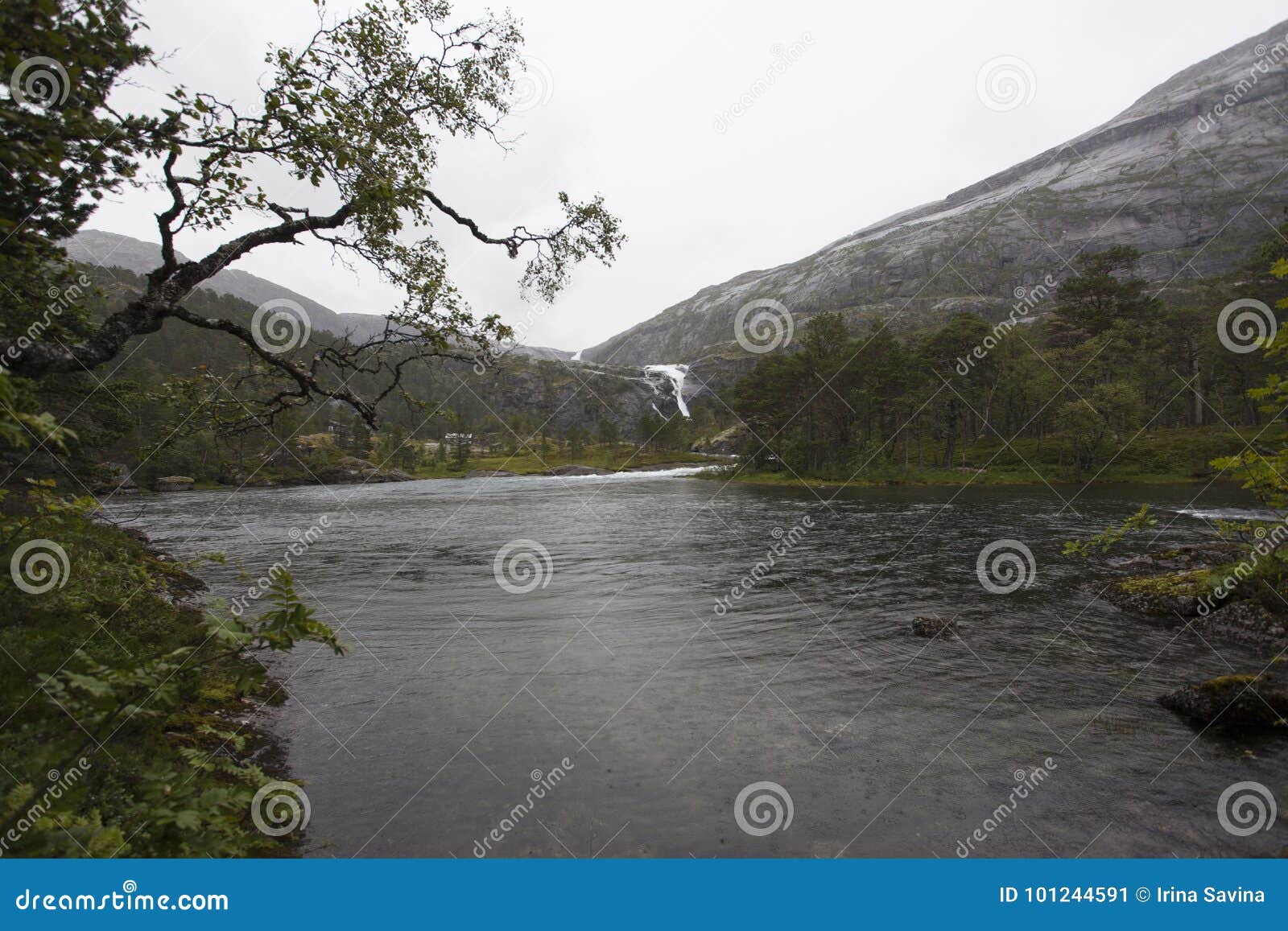 Beautiful Norwegian Waterfall Stock Image - Image of clue, norway ...