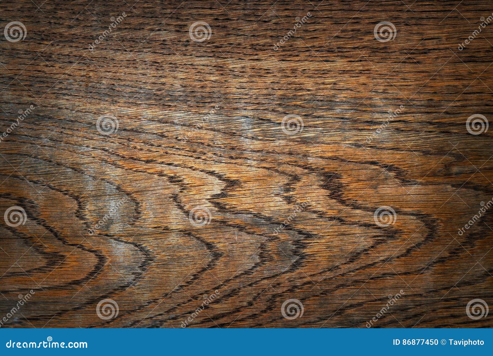Beautiful oak texture stock photo. Image of grungy, floor - 86877450