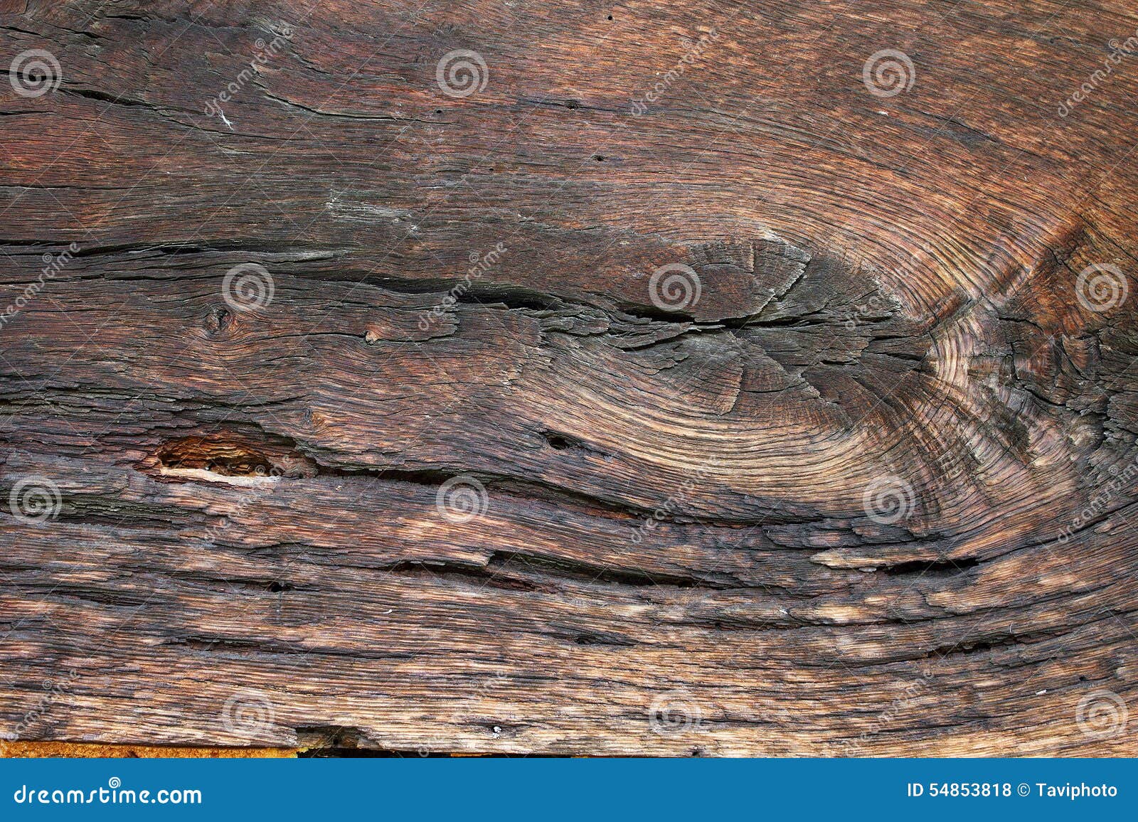 Interesting Knot On Wood Texture Stock Image | CartoonDealer.com #54853945