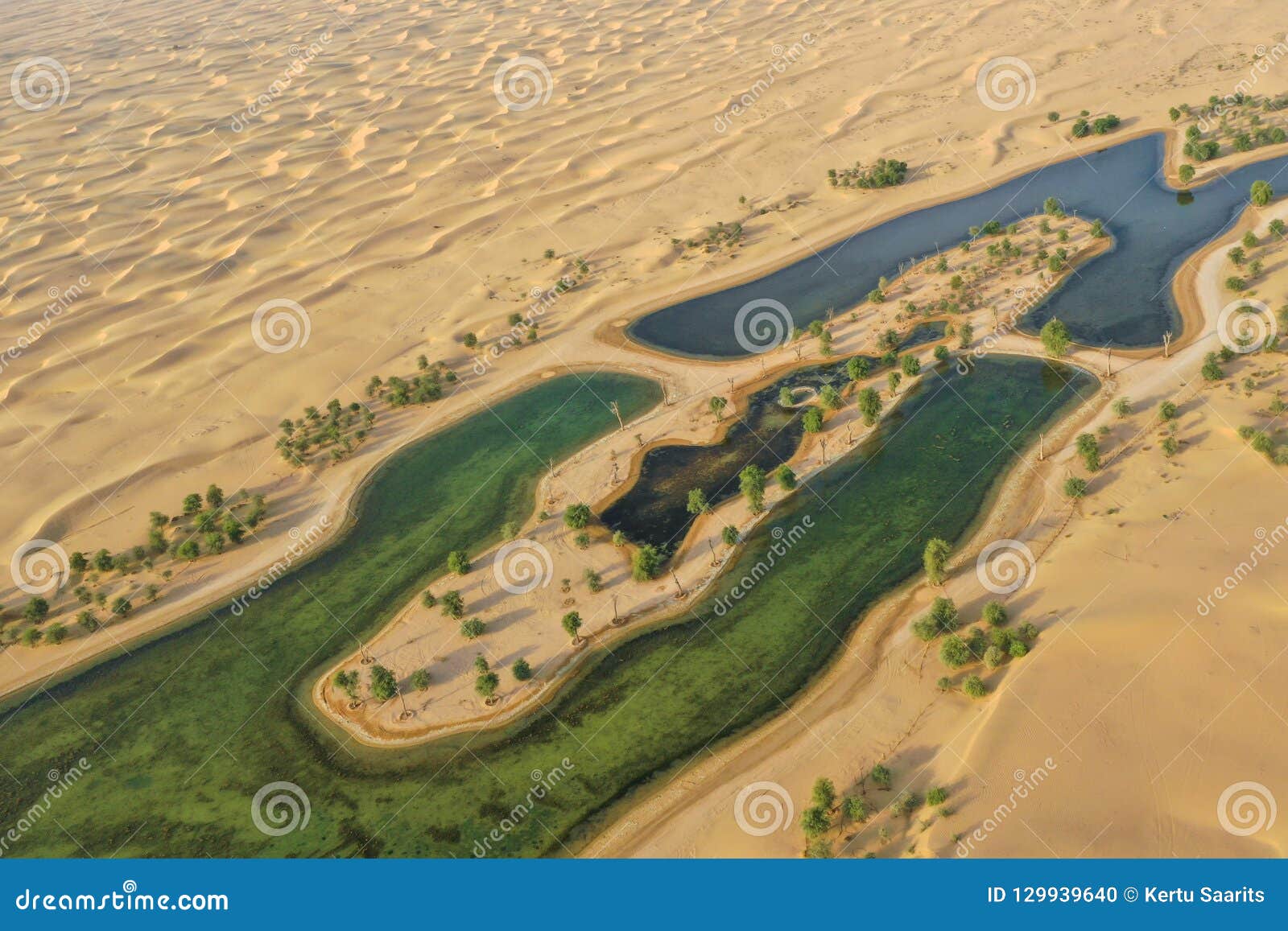 Beautiful Oasis in the Desert. Stock Photo - Image of emirates, dunes ...