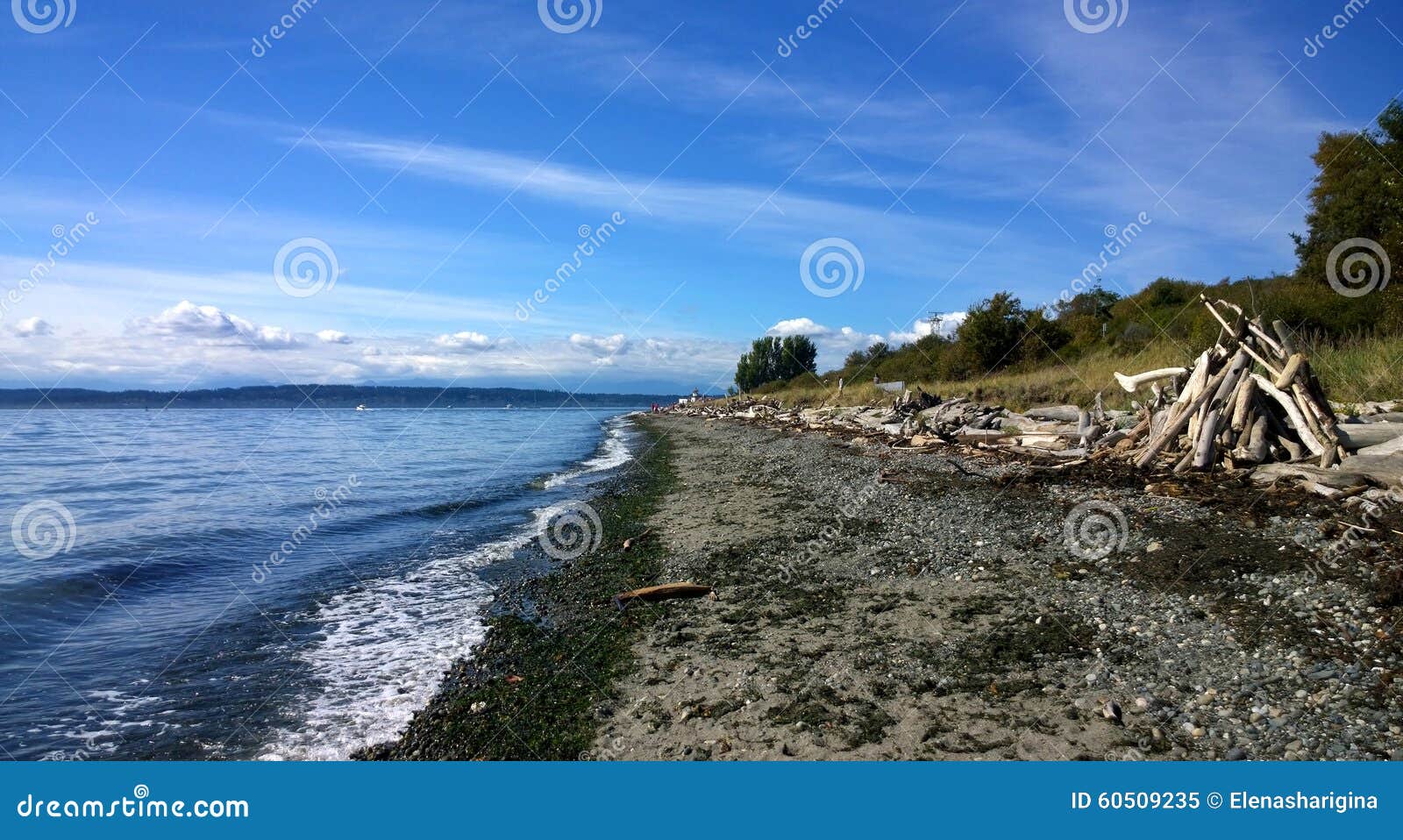 Beautiful Ocean Beach with Logs Stock Image - Image of scenic, ocean ...