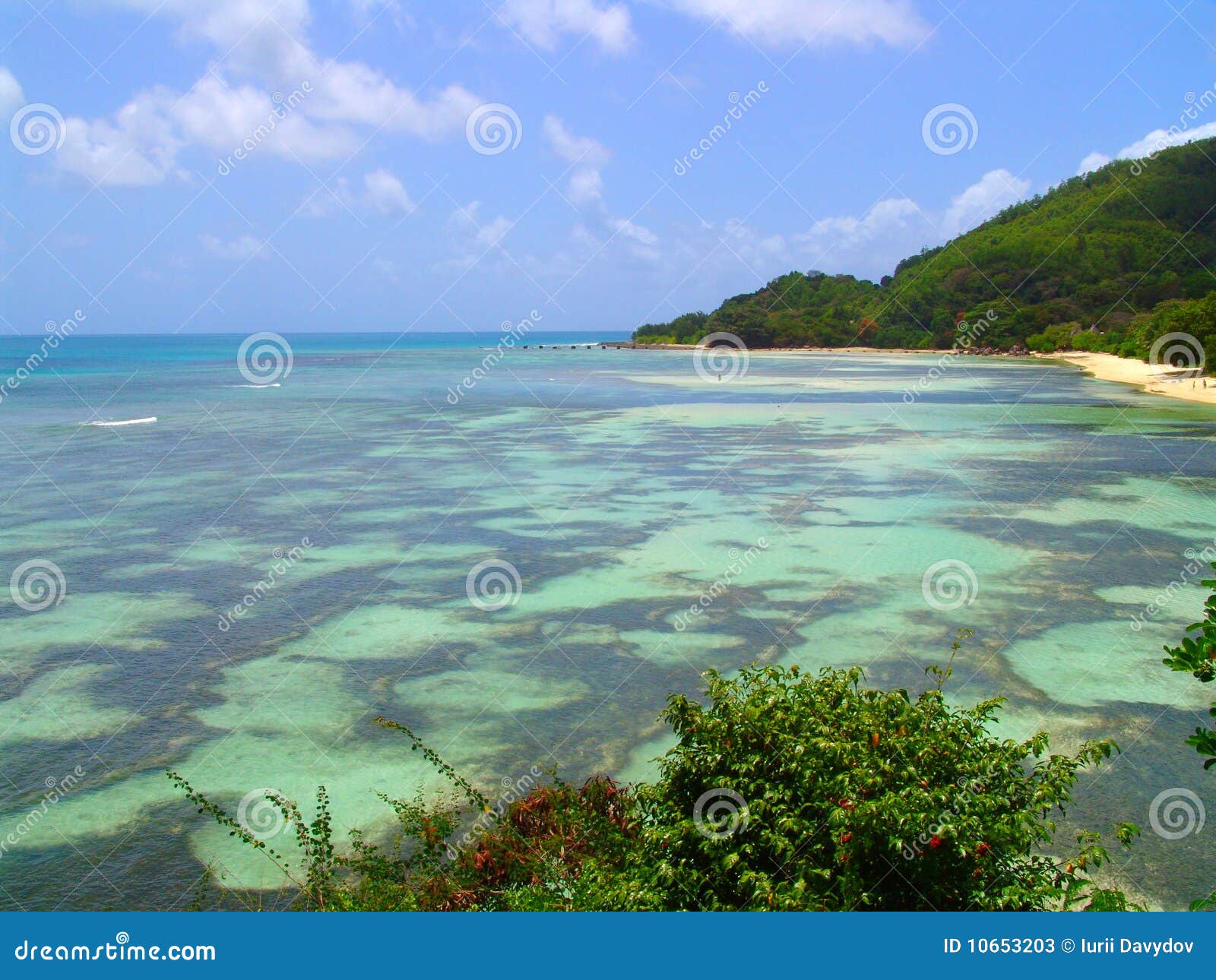 Beautiful Ocean Bottom, and Landscape in Seychelle Stock Image - Image ...