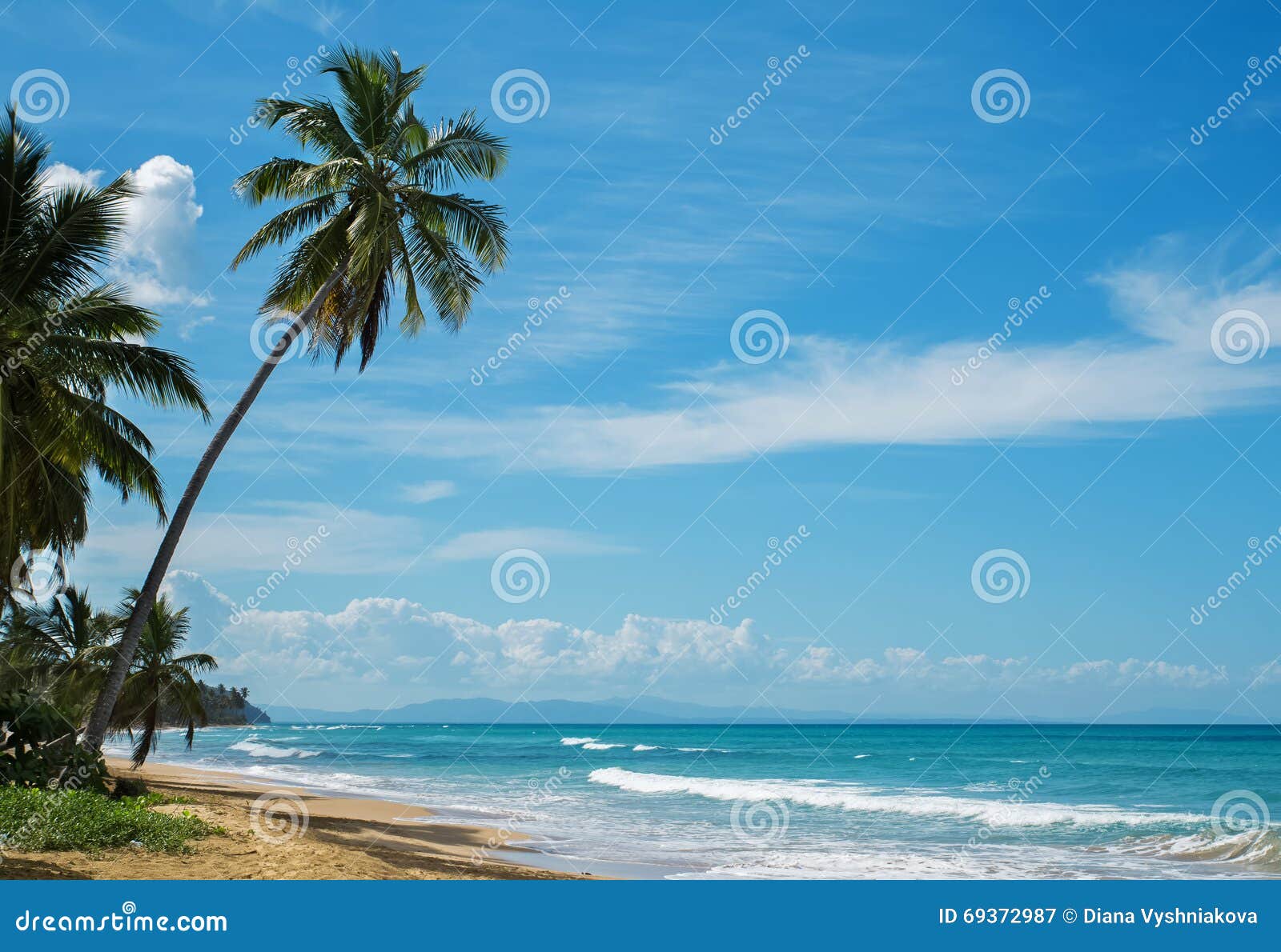 Beautiful Ocean Coast with Tropic Palms Stock Image - Image of idyllic ...