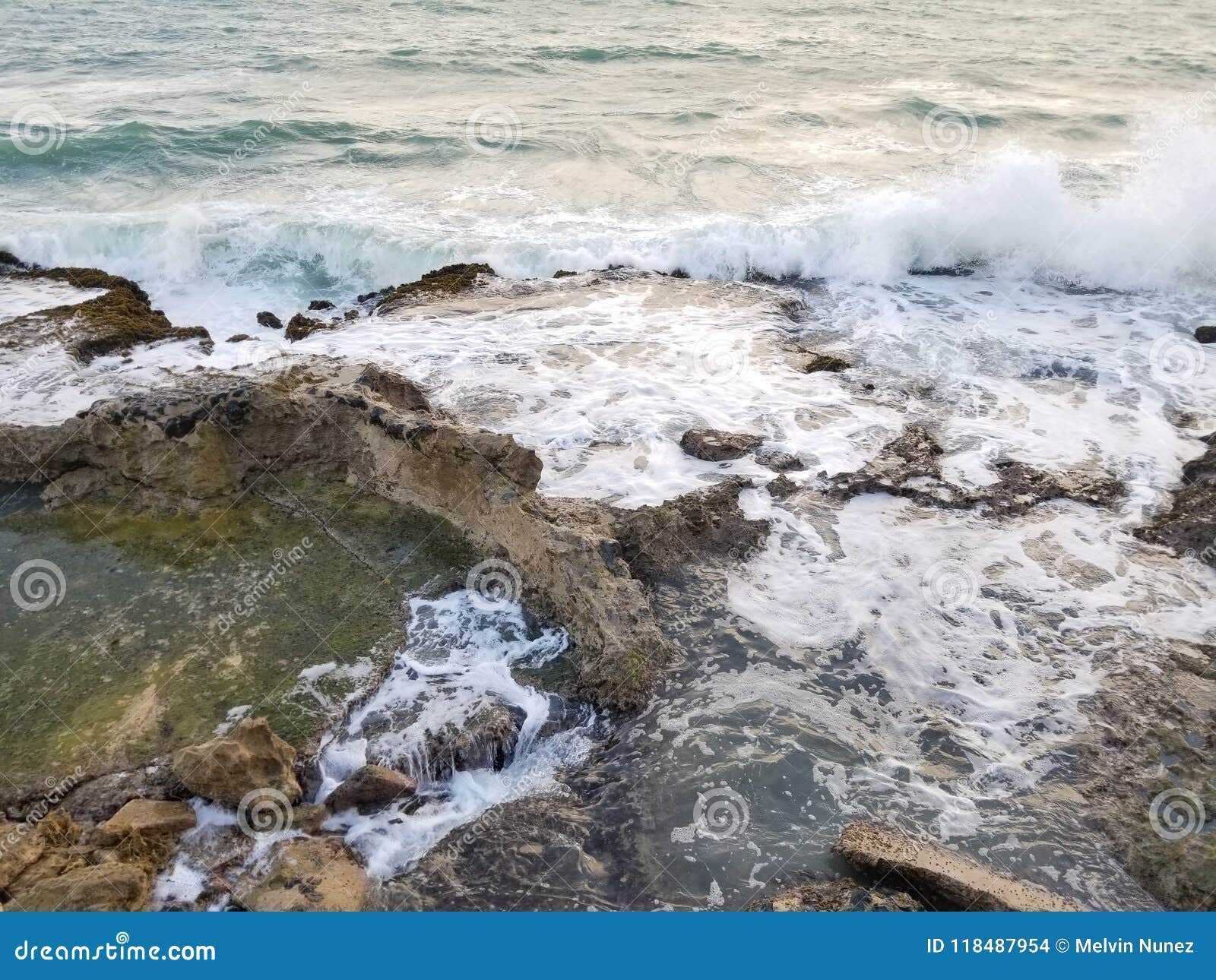 Beautiful Ocean Floor with Rocks Stock Photo - Image of view, rocks ...