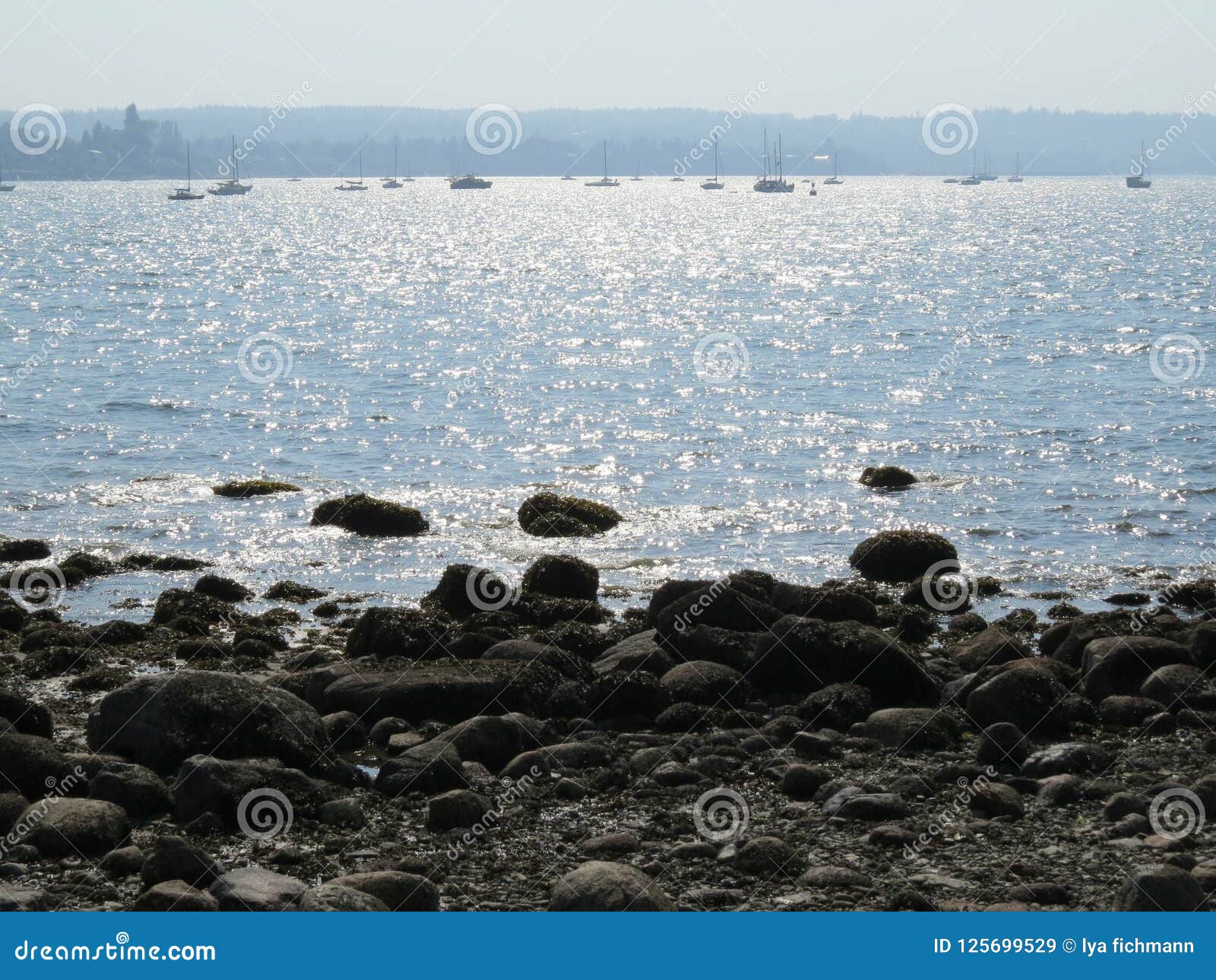 Ocean stock image. Image of vancouver, ocean, canada - 125699529